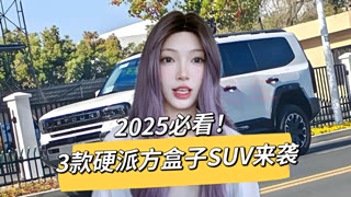 【文章】2025款哈弗猛龙实车曝光，换新前脸+怀挡，或配二代Hi4+续航151km_车家号_汽车之家