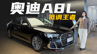 【文章】前脸六横十二纵！3.0T+8AT+340马力！22款奥迪A8L霍希双色臻藏版_车家号_汽车之家