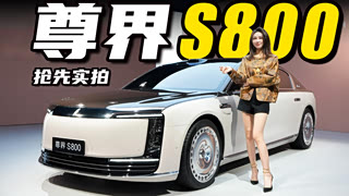 【文章】尊界S800内饰曝光！劳斯莱斯“繁星”顶棚，官方：100道工序打磨_车家号_汽车之家